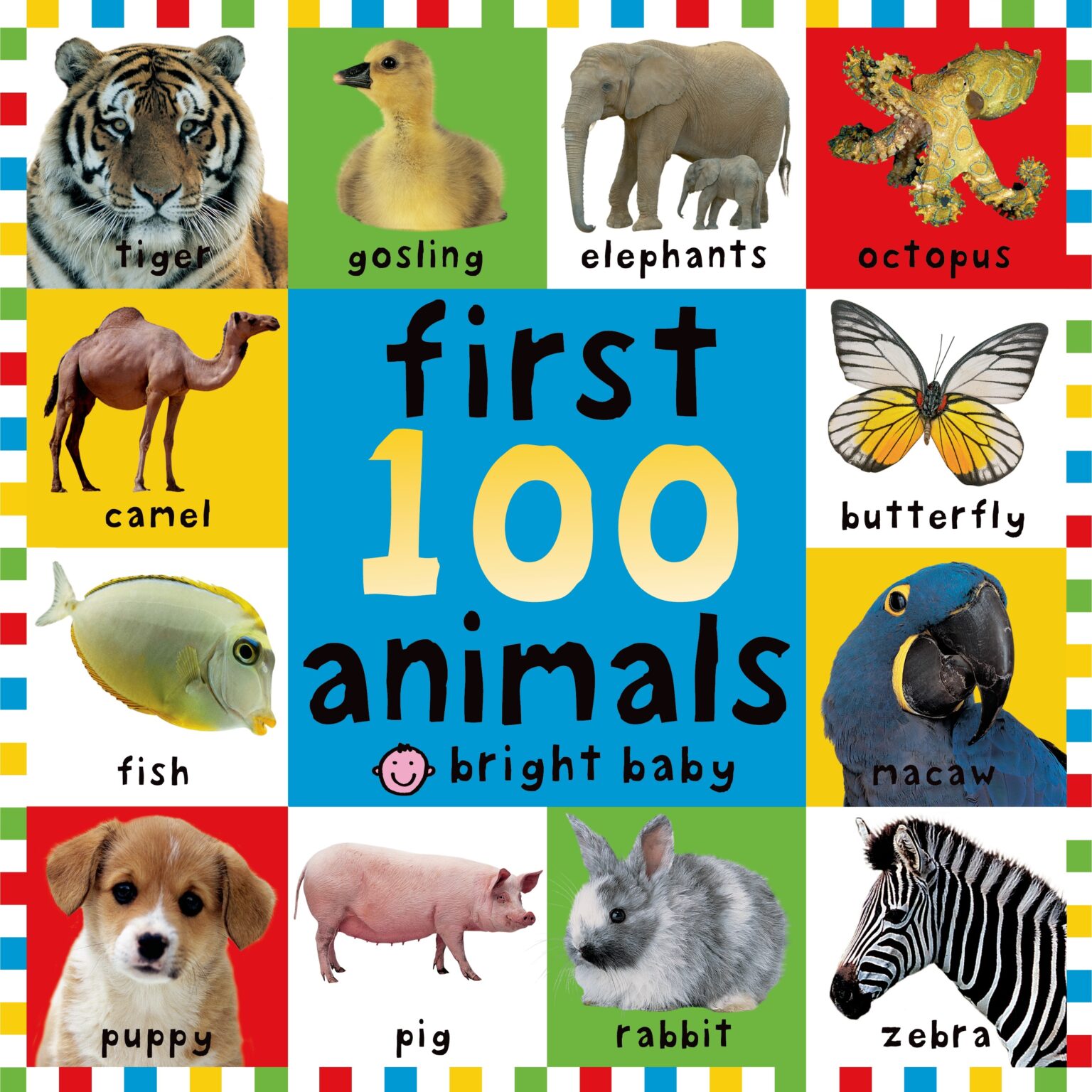 First 100 Animals - Priddy Books