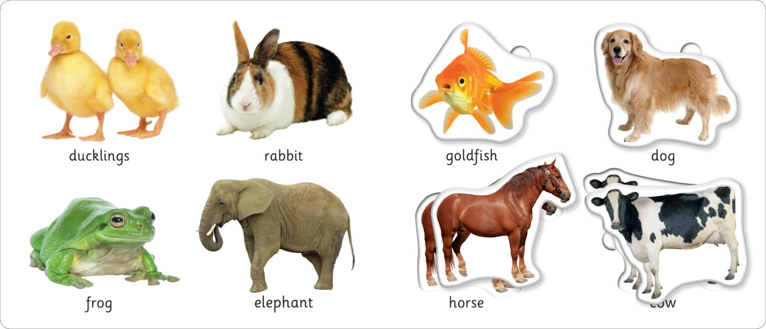 First Learning Play Set: Animals - Priddy Books