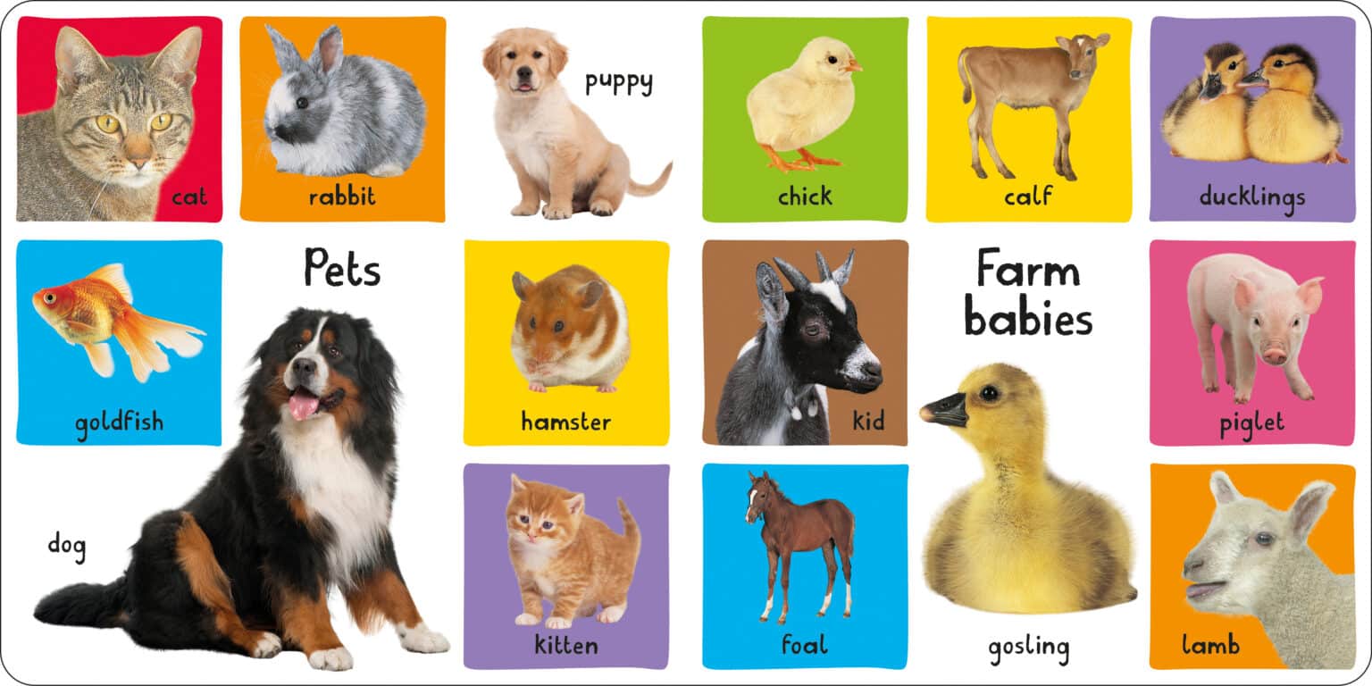 My First 100: Animals - Priddy Books