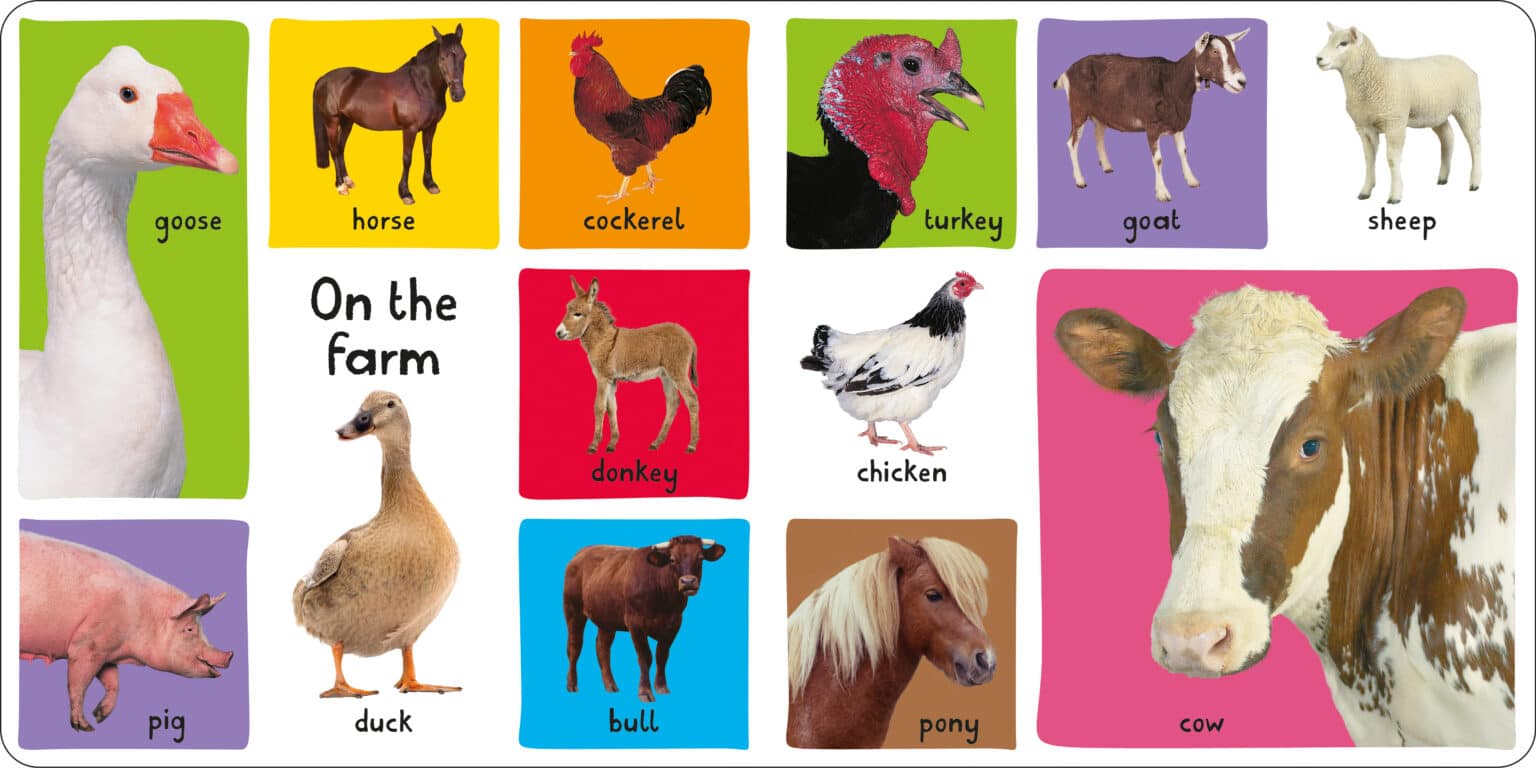 My First 100: Animals - Priddy Books